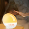 Smart Natural Alarm Clock – The Decor House