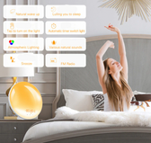 Smart Natural Alarm Clock – The Decor House