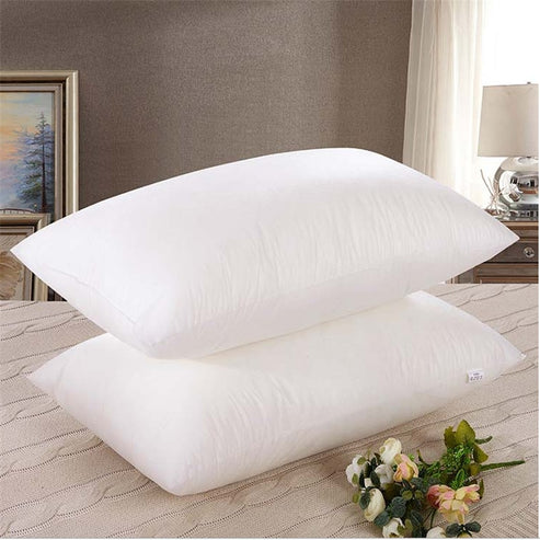 Cushion Inserts (Rectangle) – The Decor House