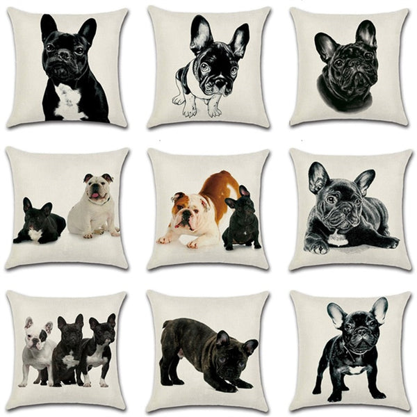 Cool Dog Collection - The Decor House